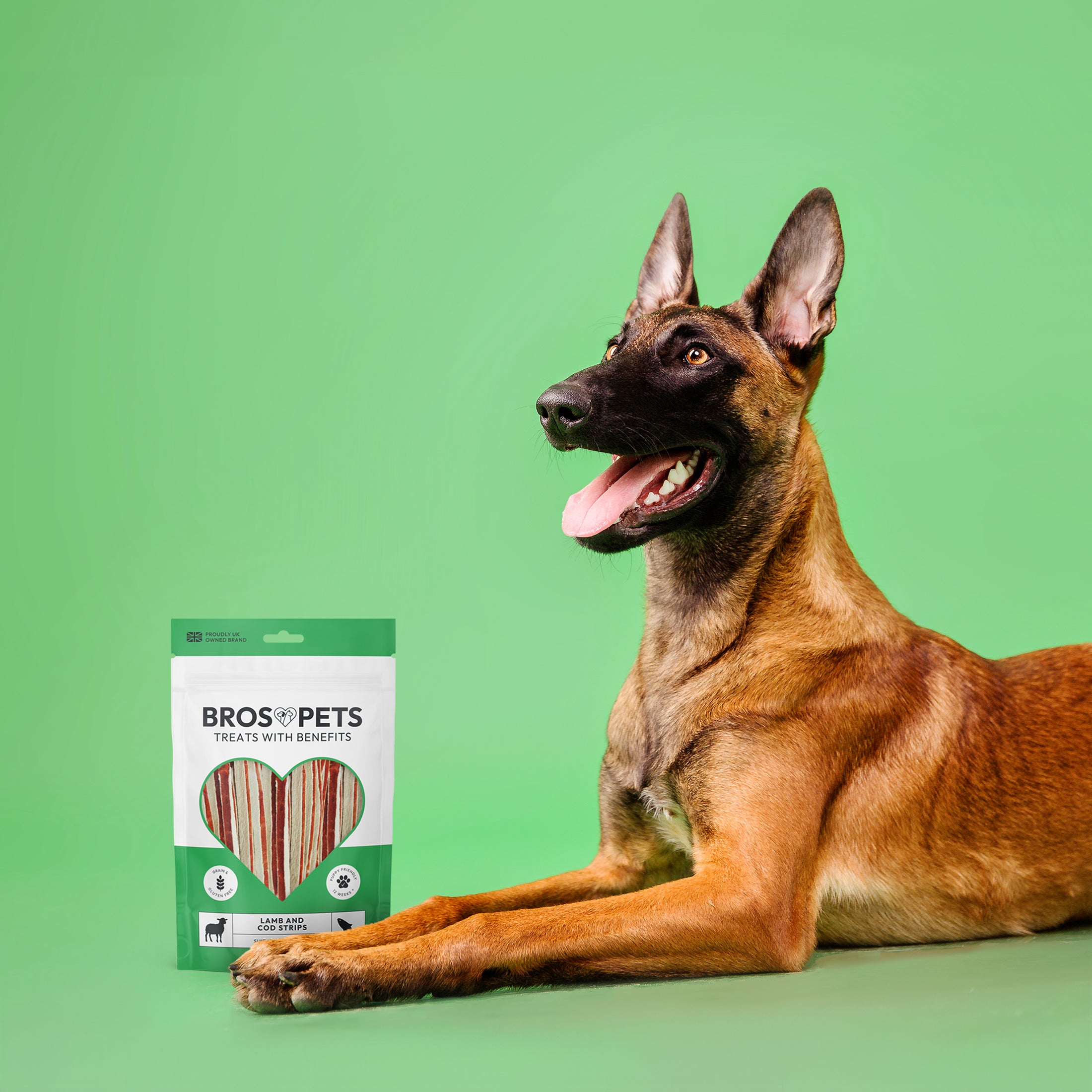 For Dogs – Bros Pets